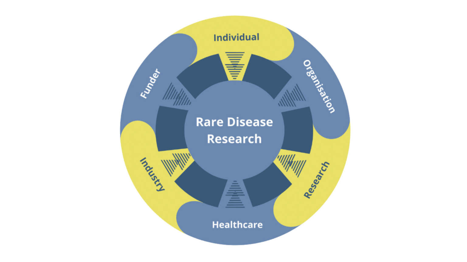 Introducing the Rare Disease Research Network – Rare Disease Research ...