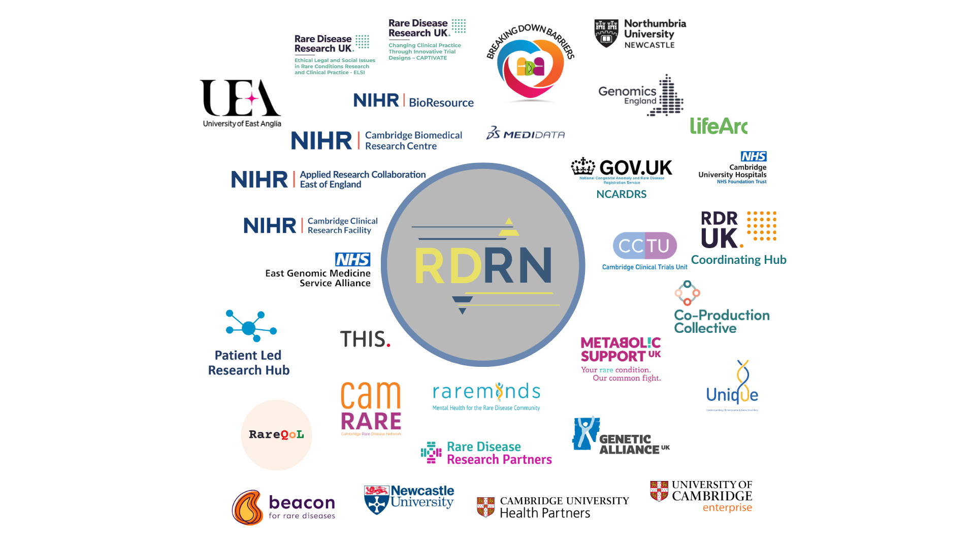 Introducing the Rare Disease Research Network – Rare Disease Research ...